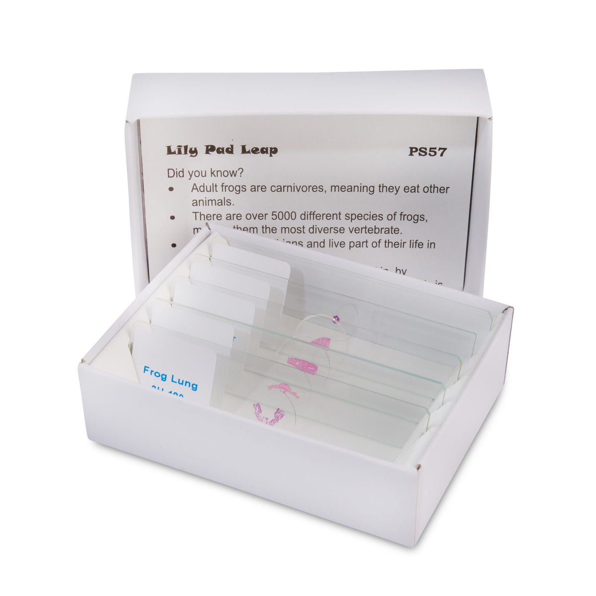 Lily Pad Leap 5pc Slide Set | Frogs & Amphibians – My First Lab